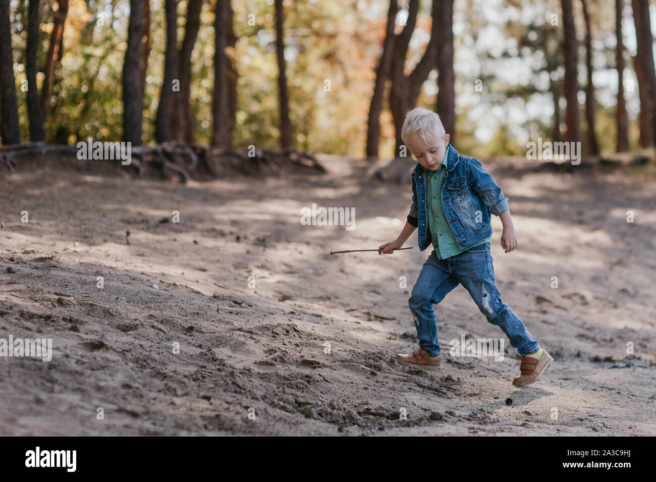 Emotional portrait of a happy and cheerful little boy, running after a ...