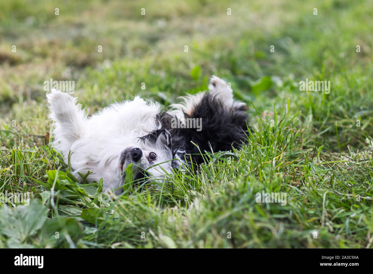 Mess around hi-res stock photography and images - Alamy