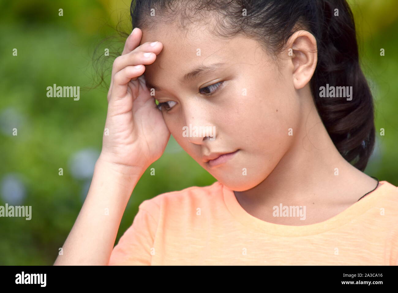 An A Worried Female Juvenile Stock Photo - Alamy