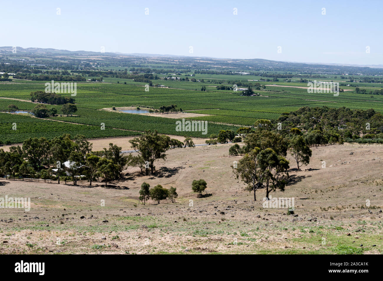 Barossa panoramic view hi-res stock photography and images - Alamy