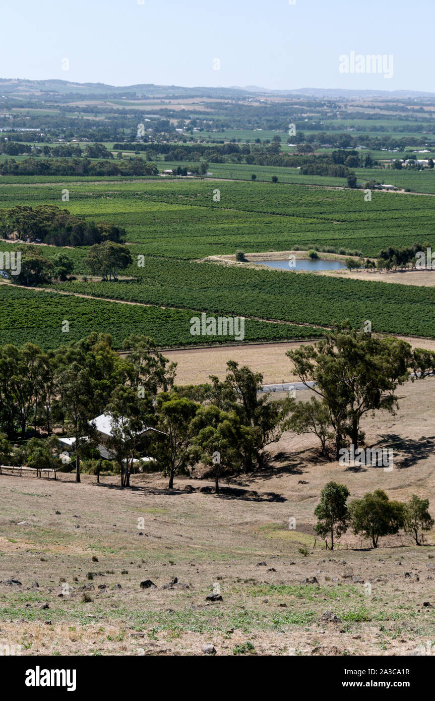 Barossa panoramic view hi-res stock photography and images - Alamy