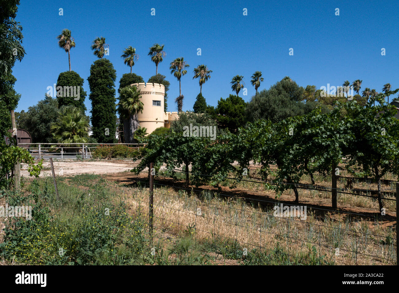 Concrete vat wine hi-res stock photography and images - Alamy