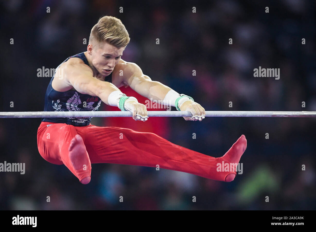 Wiskus hi-res stock photography and images - Alamy