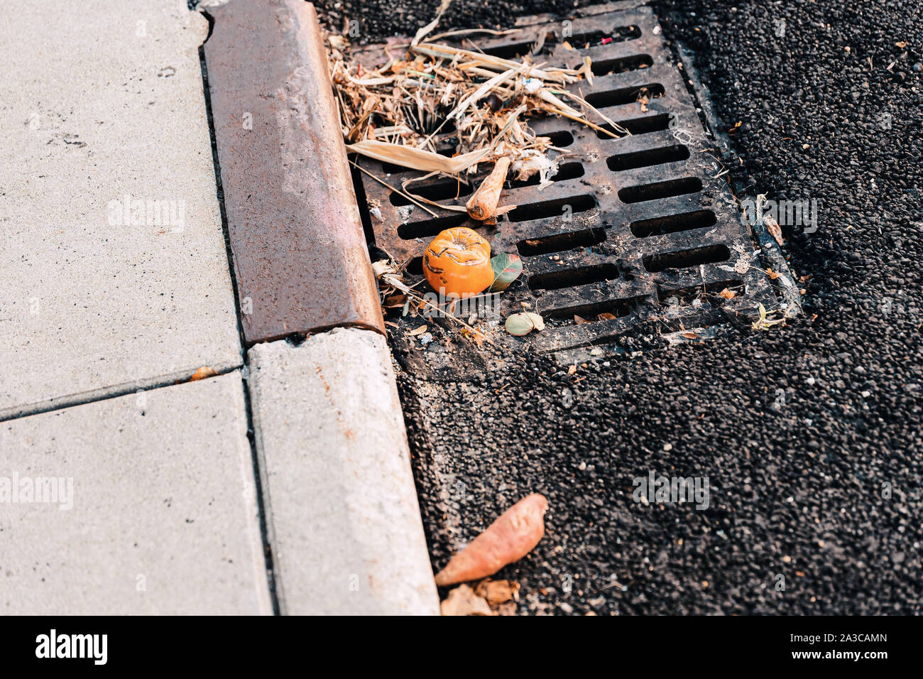 a storm drain covered with corn stalks, carrots and a tomato Stock ...