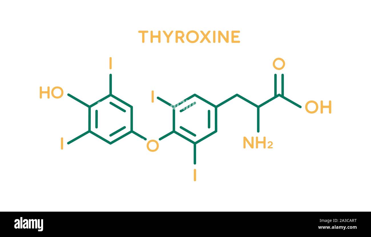 Thyroxine molecule chemical structure thyroid Cut Out Stock Images ...