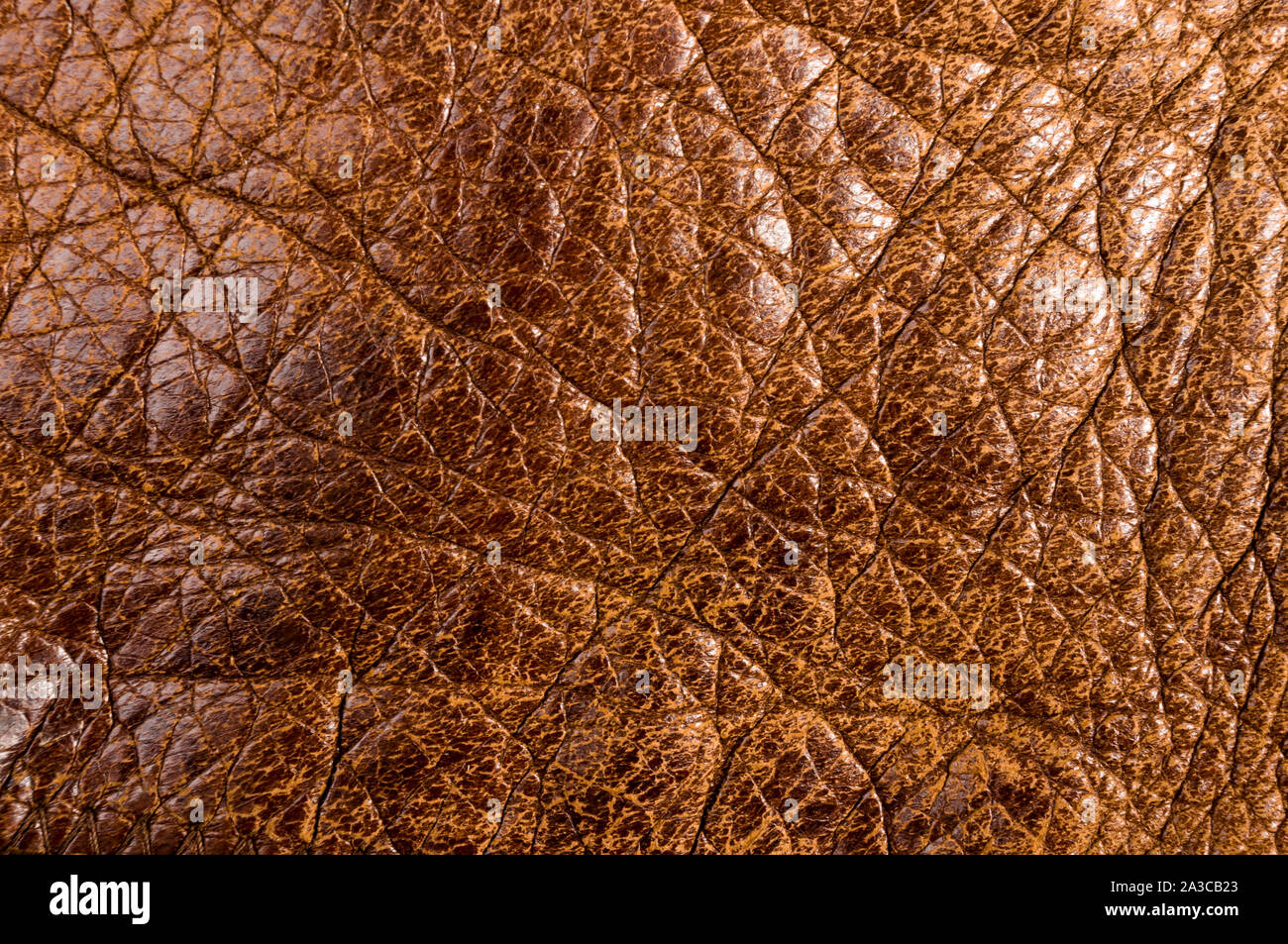 Old vintage genuine soft brown leather texture background, top layer ...