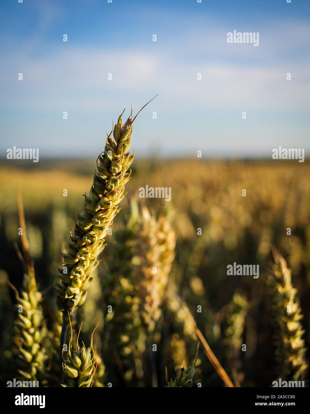 British landscape landscapes hi-res stock photography and images - Alamy