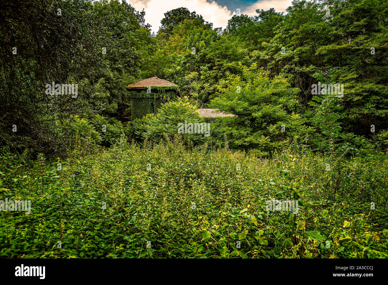 Parco naturale la mandria hi-res stock photography and images - Alamy