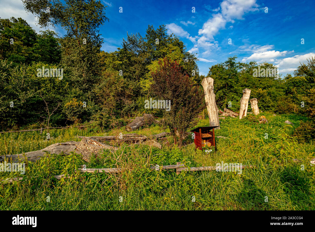 Parco naturale la mandria hi-res stock photography and images - Alamy