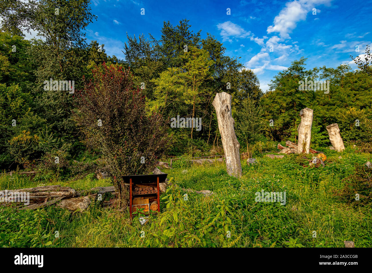 Parco naturale la mandria hi-res stock photography and images - Alamy