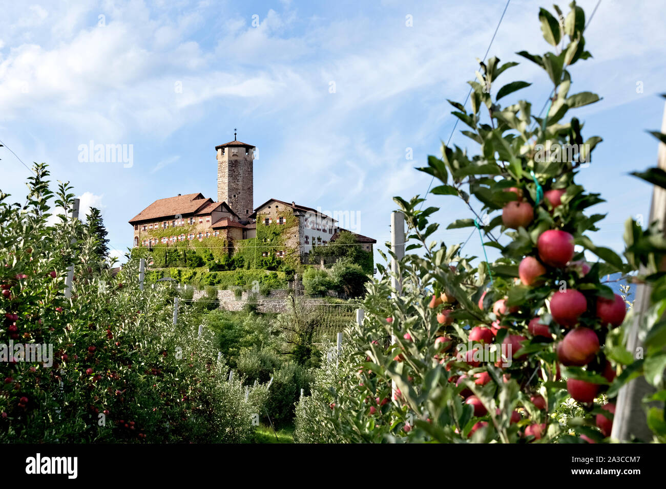 Palaces and castles hi-res stock photography and images - Alamy