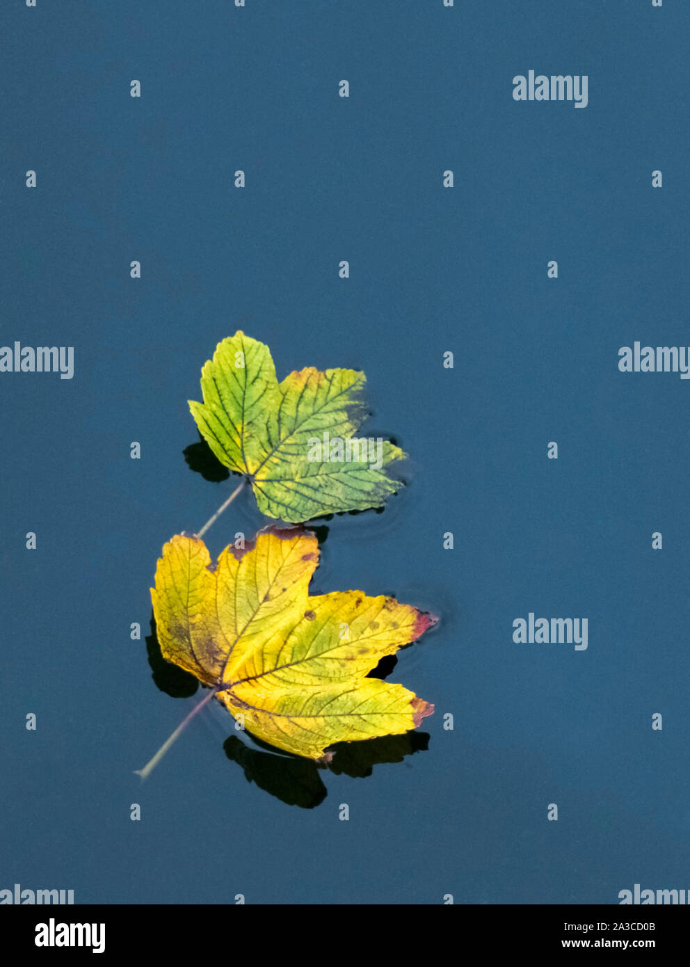 Float lines hi-res stock photography and images - Alamy