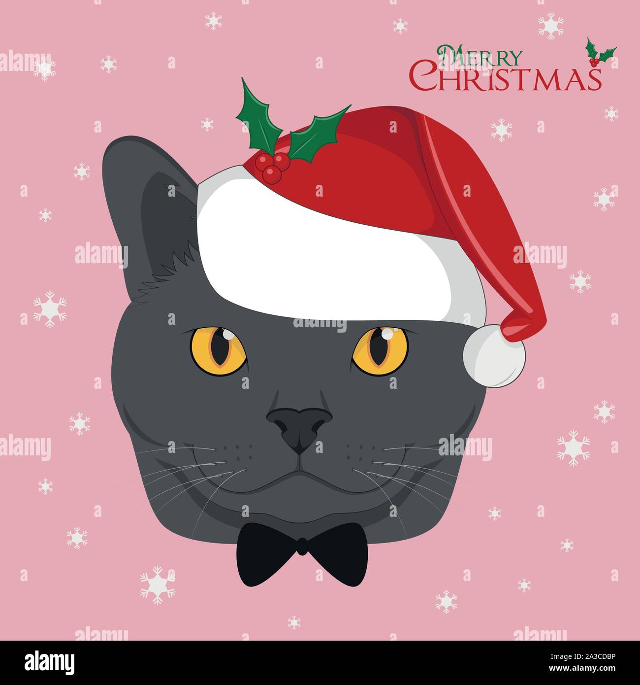 Chartreux cat Stock Vector Images - Alamy