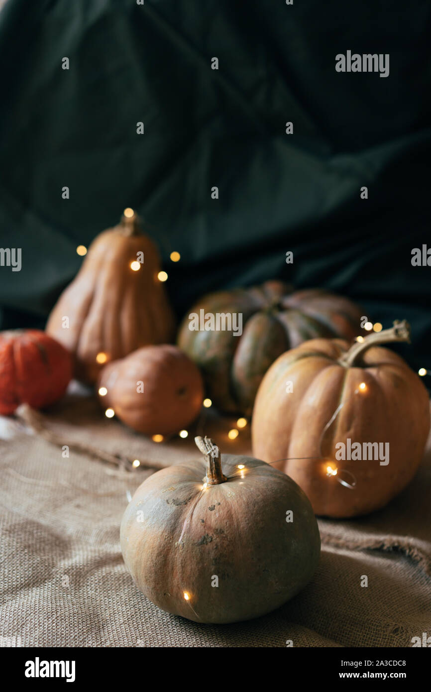Festive thanksgiving hi-res stock photography and images - Alamy