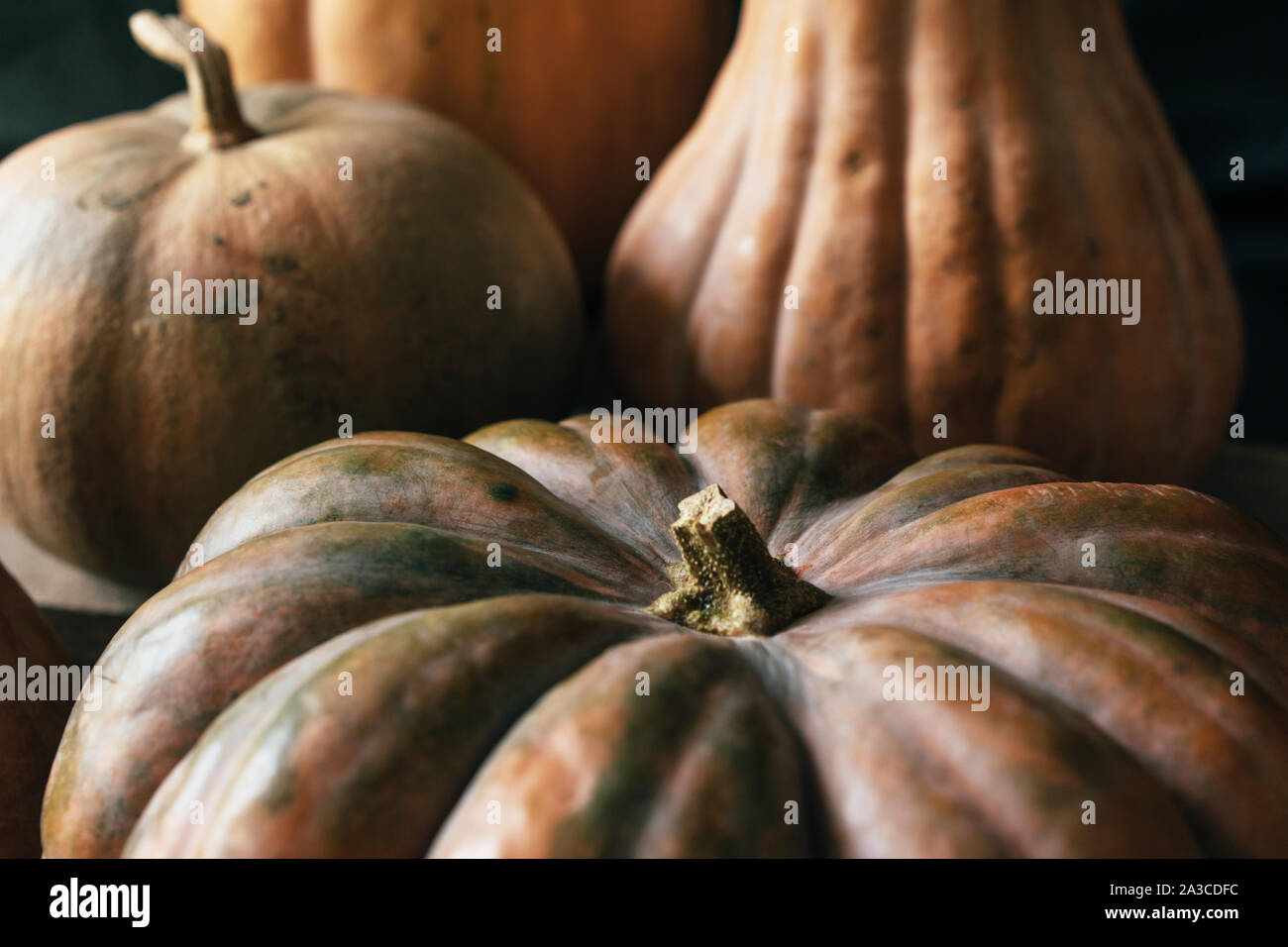 Close up big orange pumpkins hi-res stock photography and images - Alamy