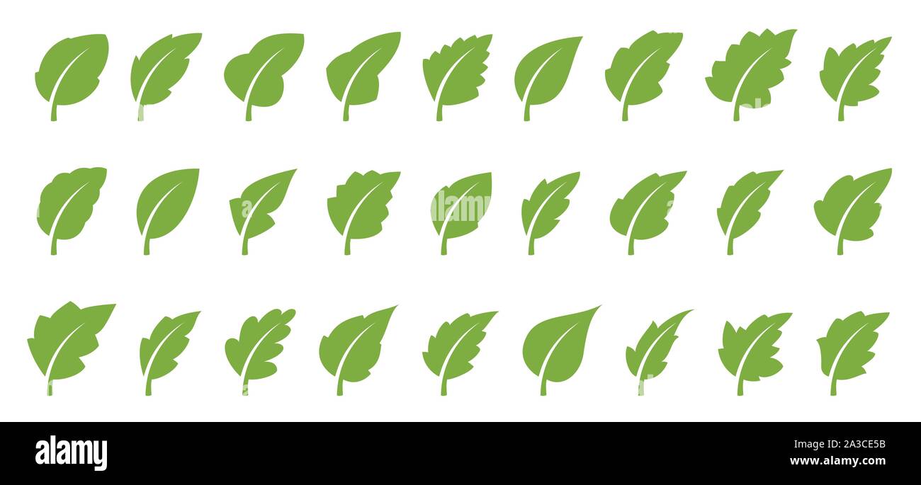 Green leaf set Stock Vector Image & Art - Alamy