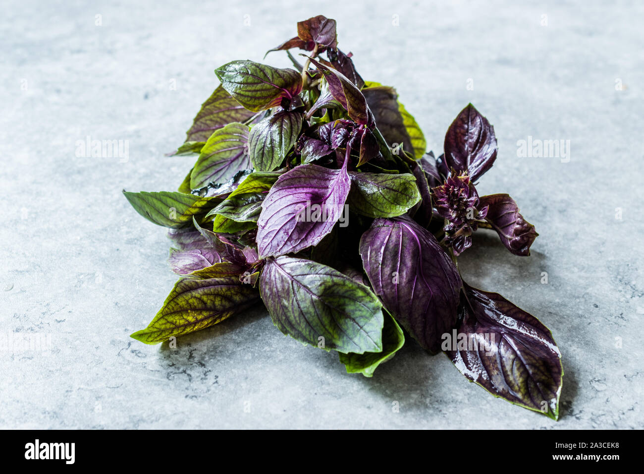 Purple basil leaves hi-res stock photography and images - Alamy