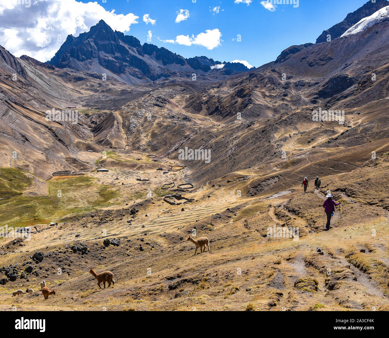 Sierra andina peru hi-res stock photography and images - Alamy