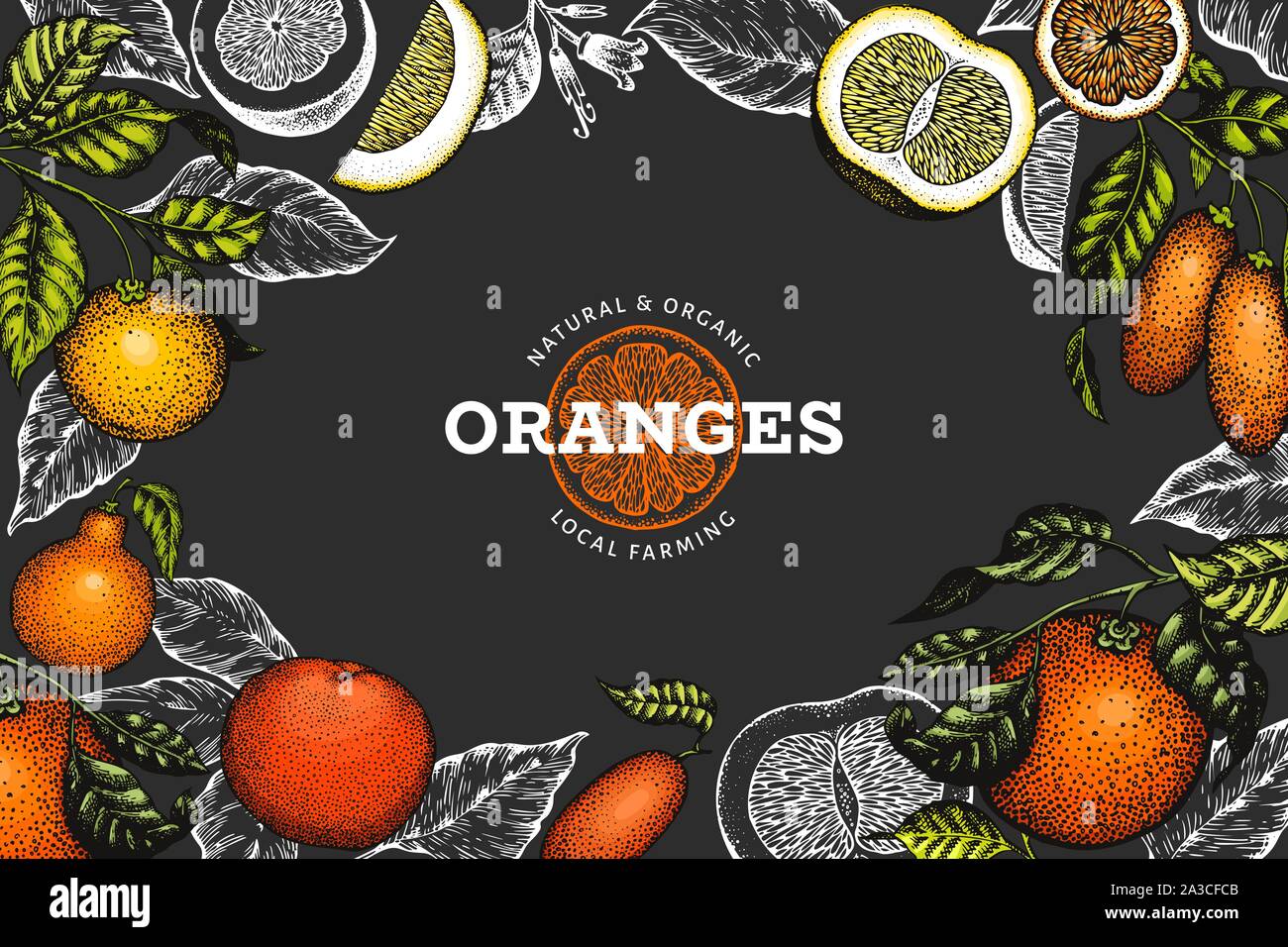 Citrus design template. Hand drawn vector colour fruit illustration on ...
