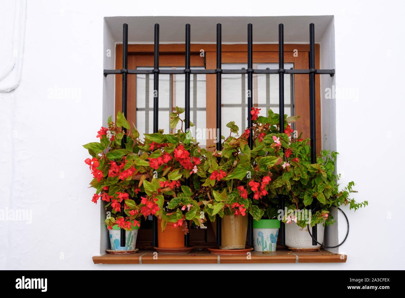 Widow display in the white village of Frigiliana, Nerja, Axarquia ...