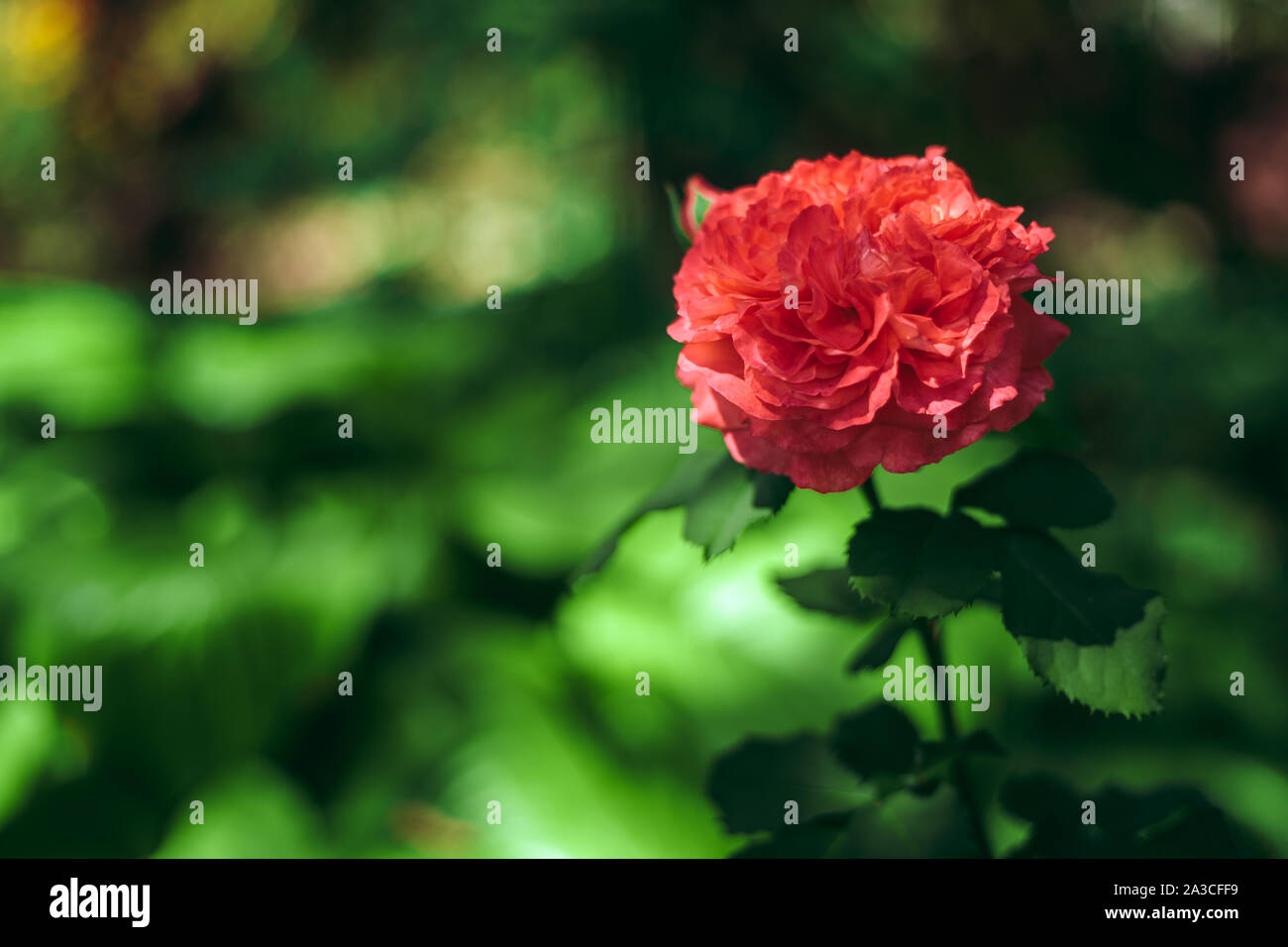 large salt stone in a salt mine Stock Photo - Alamy