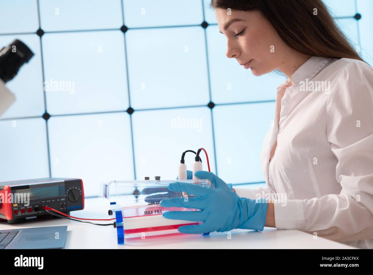 Loading Samples and Running an Agarose Gel for electrophoresis, Gel ...