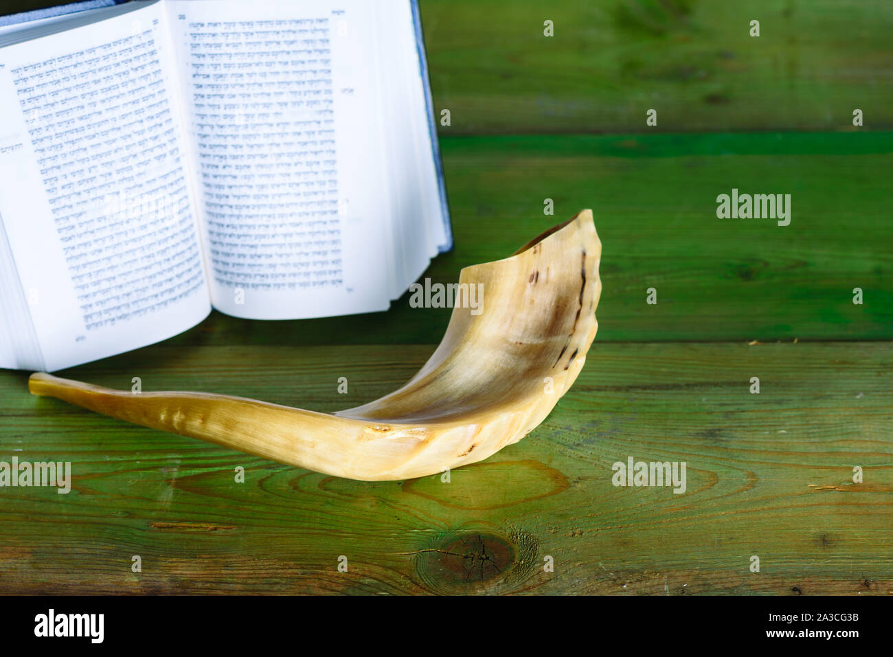 Rosh Ha Shana- Jewish new year and Yom Kippur composition of an Torah ...