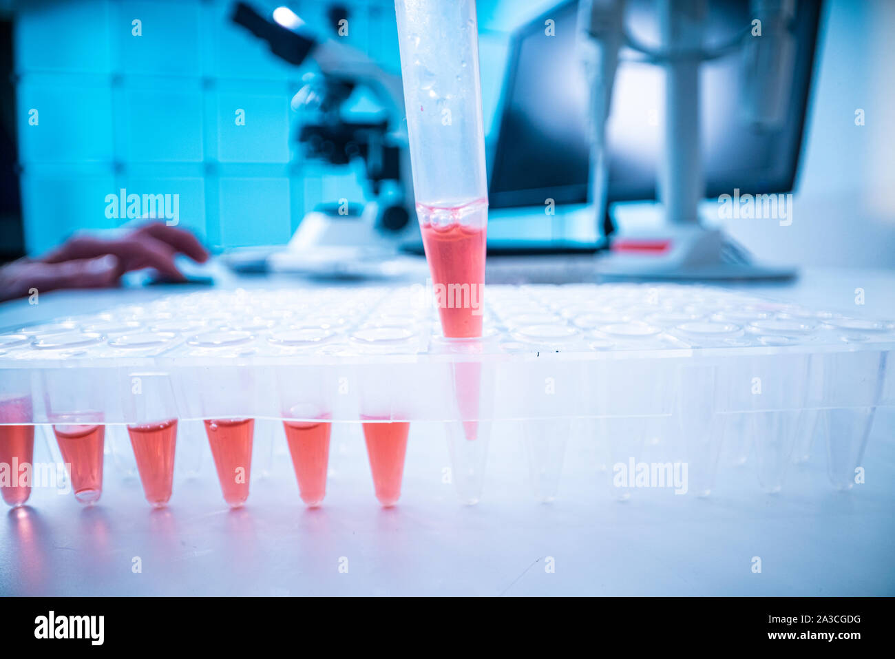 sample of biological sample for DNA analysis Stock Photo - Alamy