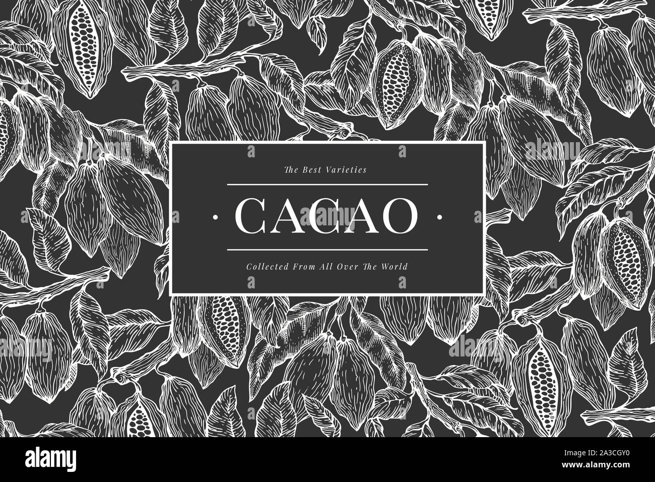 Cocoa banner template. Chocolate cocoa beans background. Vector hand ...