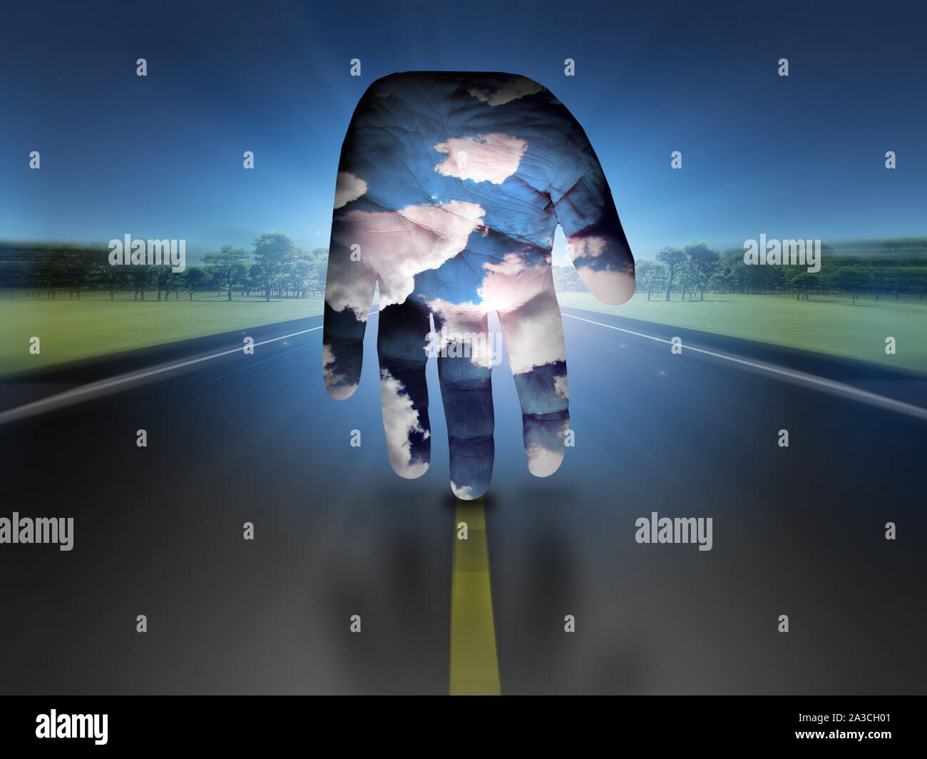 Inverted palm tree hi-res stock photography and images - Alamy