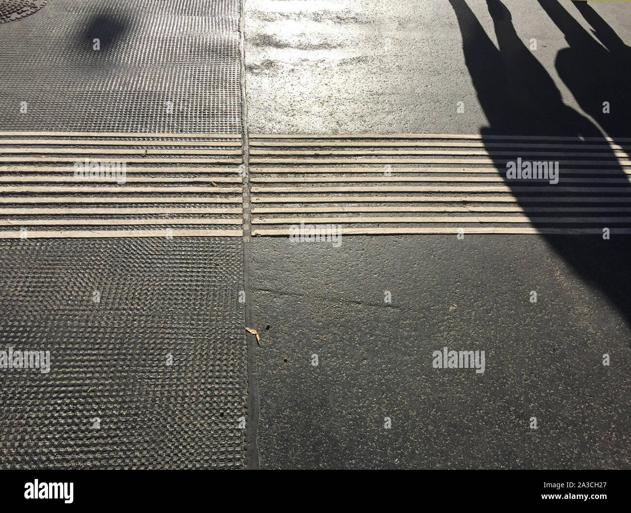 Could walk on 2 back legs hi-res stock photography and images - Alamy