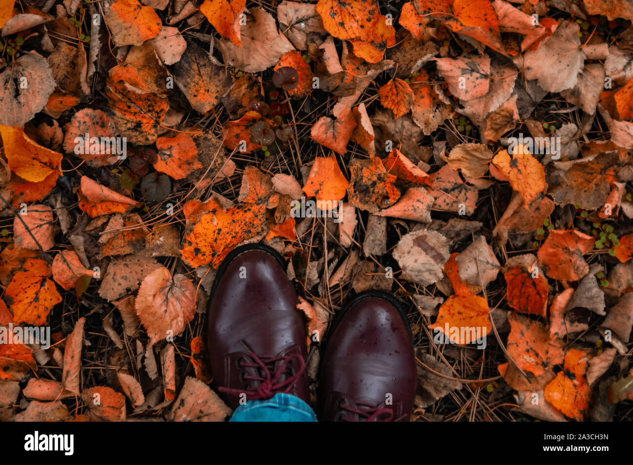Fall, autumn, leaves, legs and shoes. Conceptual image of legs boots on ...