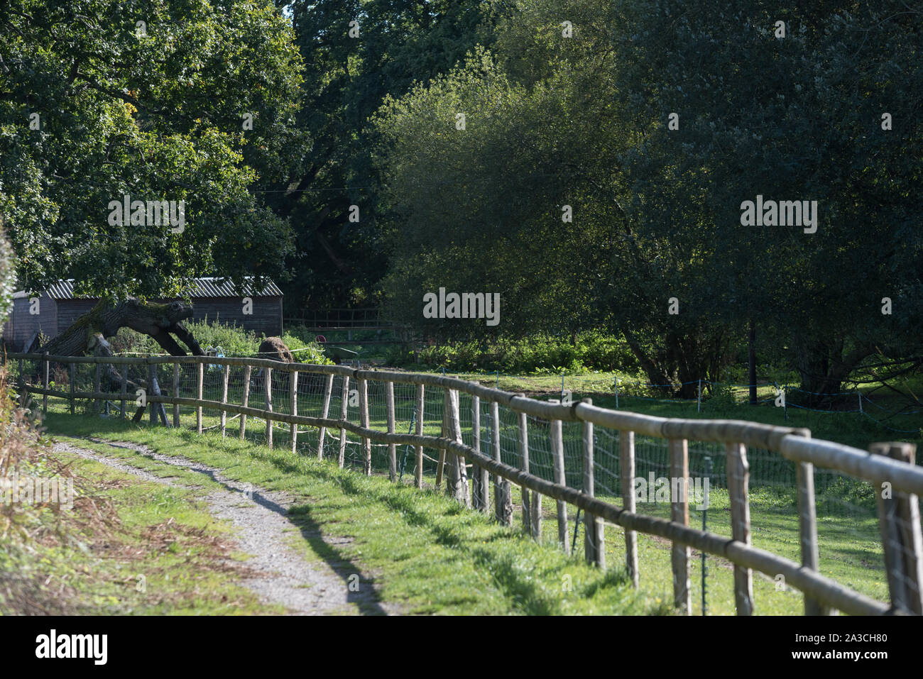 countryside footpath in great britain with wooden fence Stock Photo - Alamy