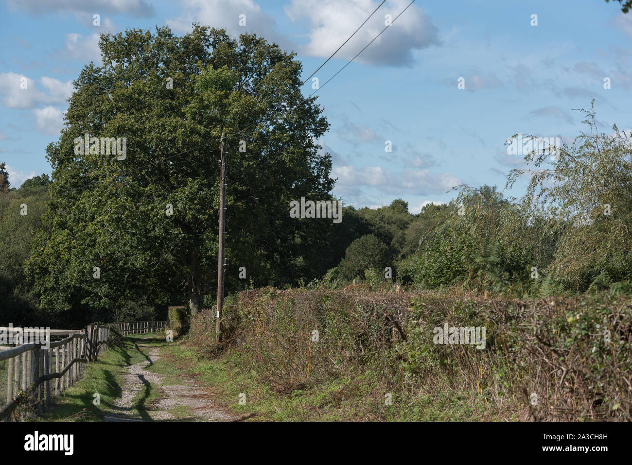 Flyover in the countryside hi-res stock photography and images - Alamy
