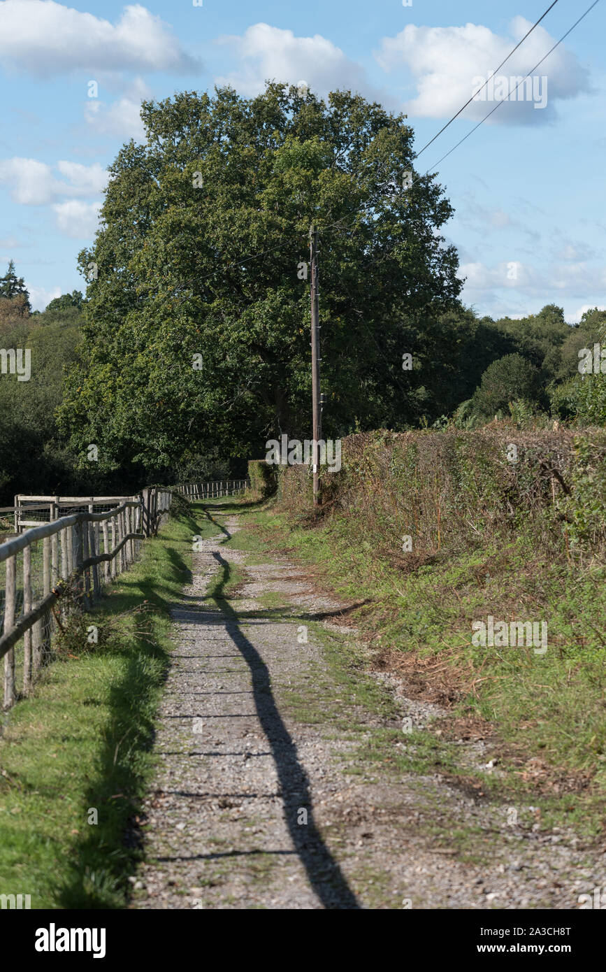 Footpath flyover hi-res stock photography and images - Alamy