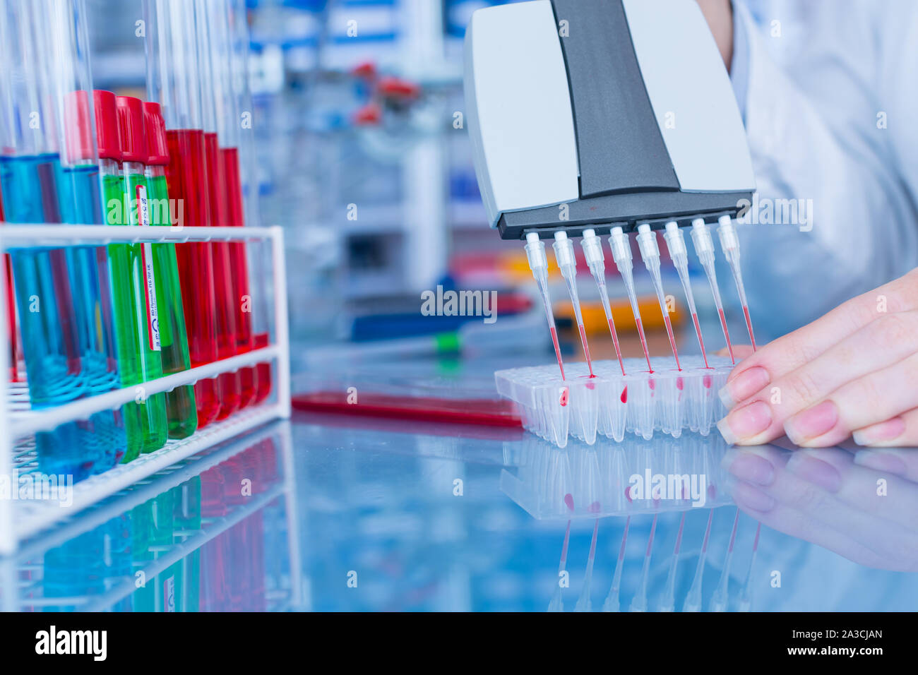 Multichannel pipette and reaction plate hi-res stock photography and ...