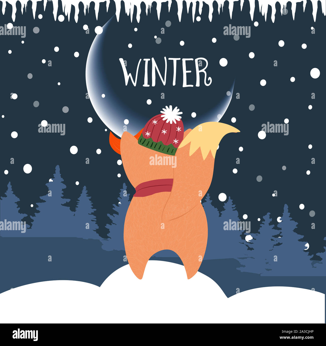 Cute winter fox looking at moon standing on snowdrift with fir trees ...
