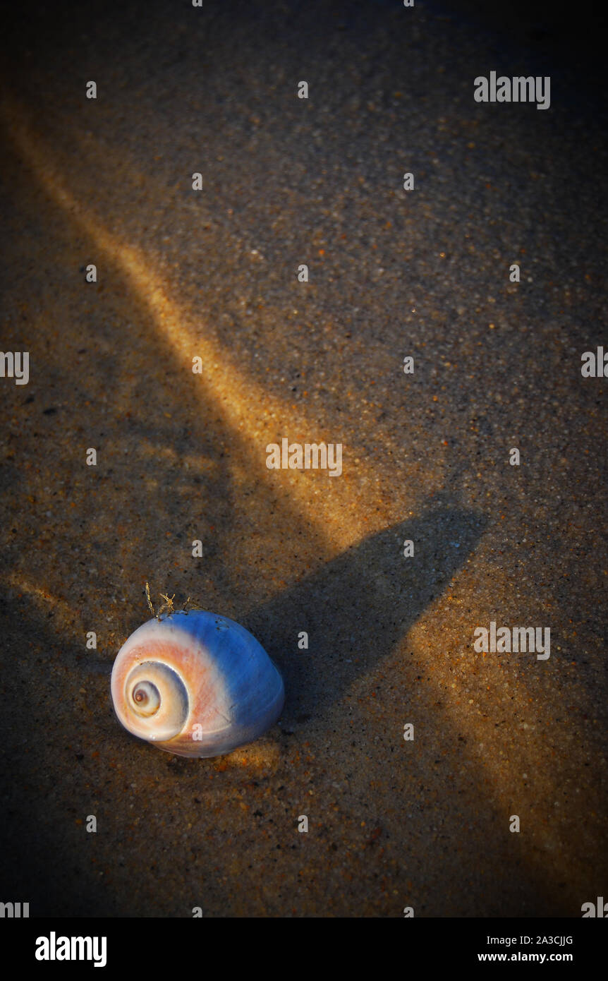 Hand grabbing sand hi-res stock photography and images - Alamy