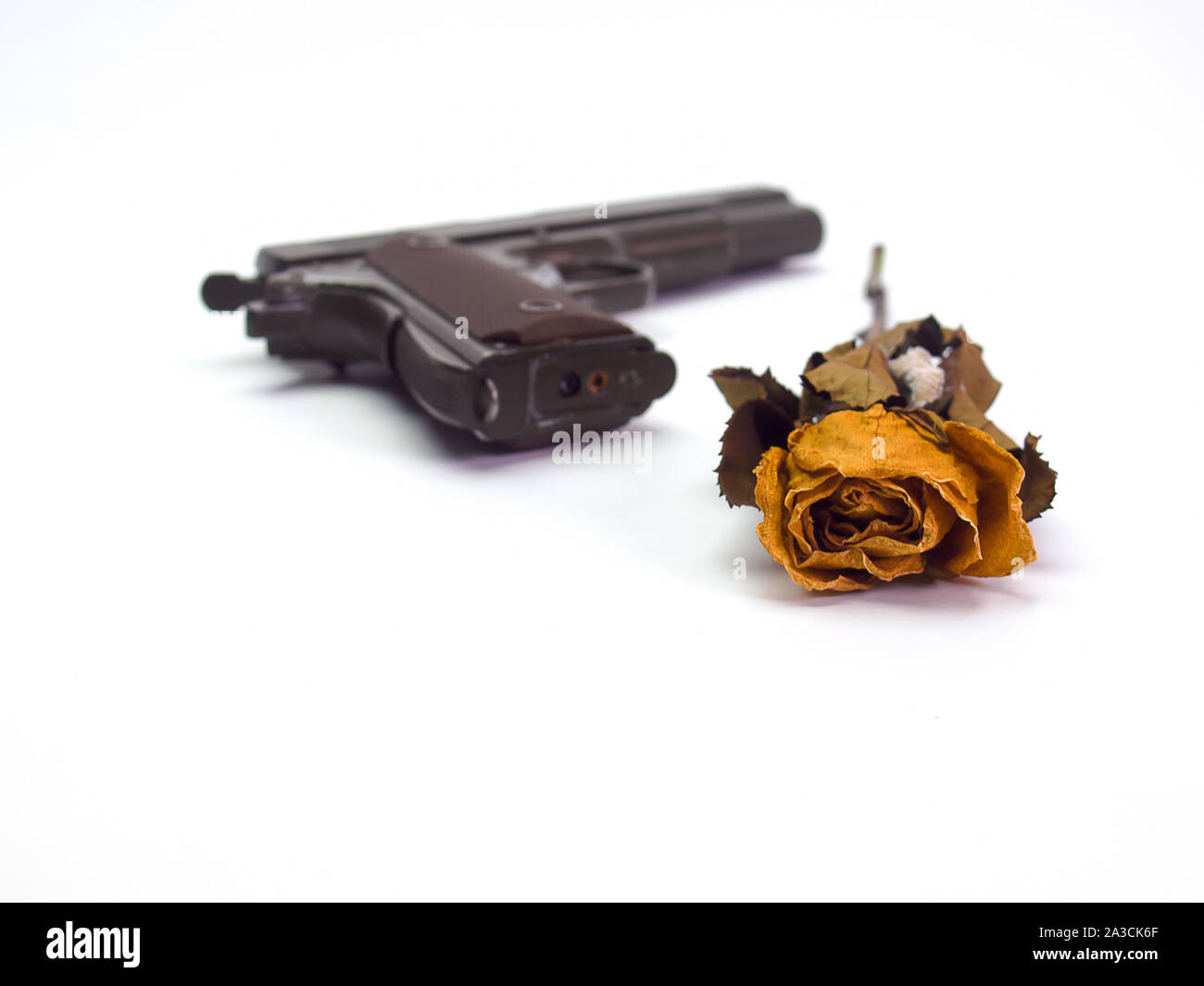 Gun and rose on white background Stock Photo - Alamy