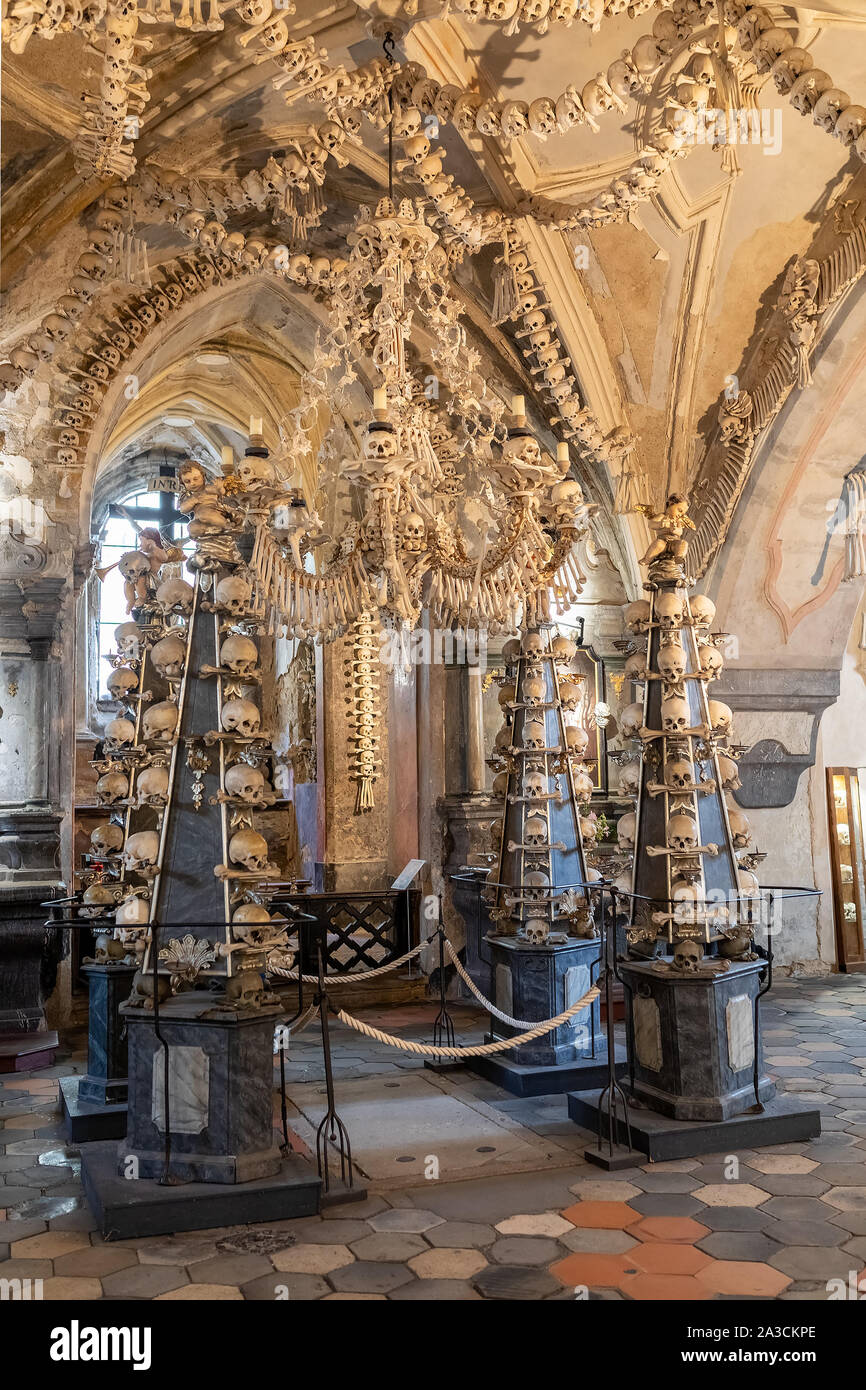 Human skull interior anatomy hi-res stock photography and images - Alamy