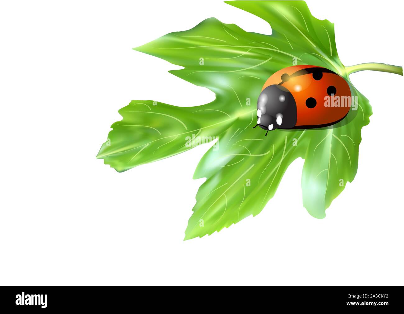 Ladybug Sitting On Green Leaf Stock Vector Images Alamy