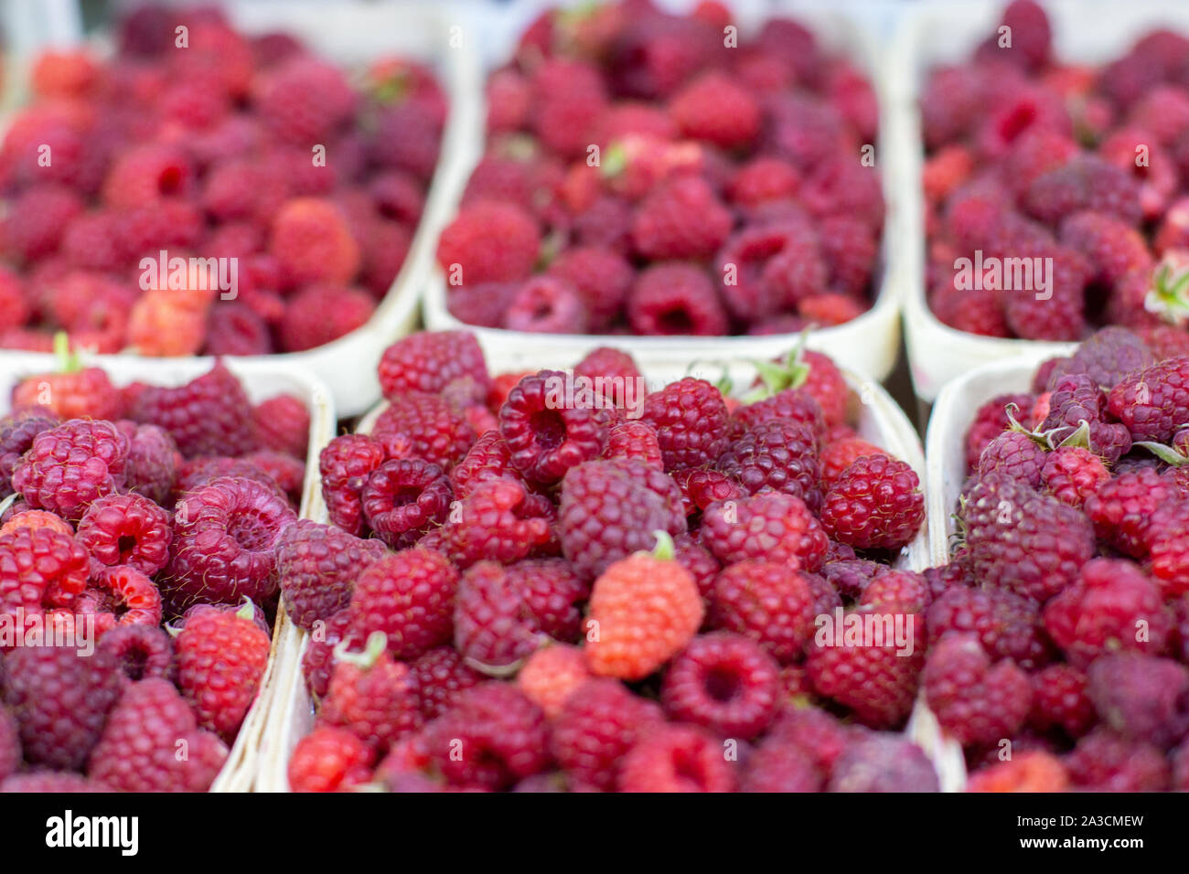 Fresh ripe raspberries in birch bark boxes. Wooden trays with red ...