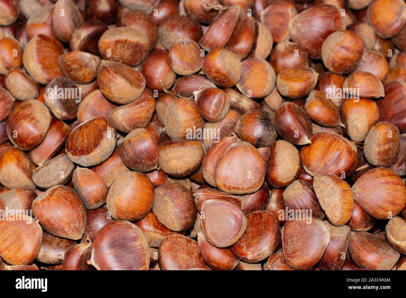 Ripe chestnut fruits Castanea sativa set, food background. Brown ...