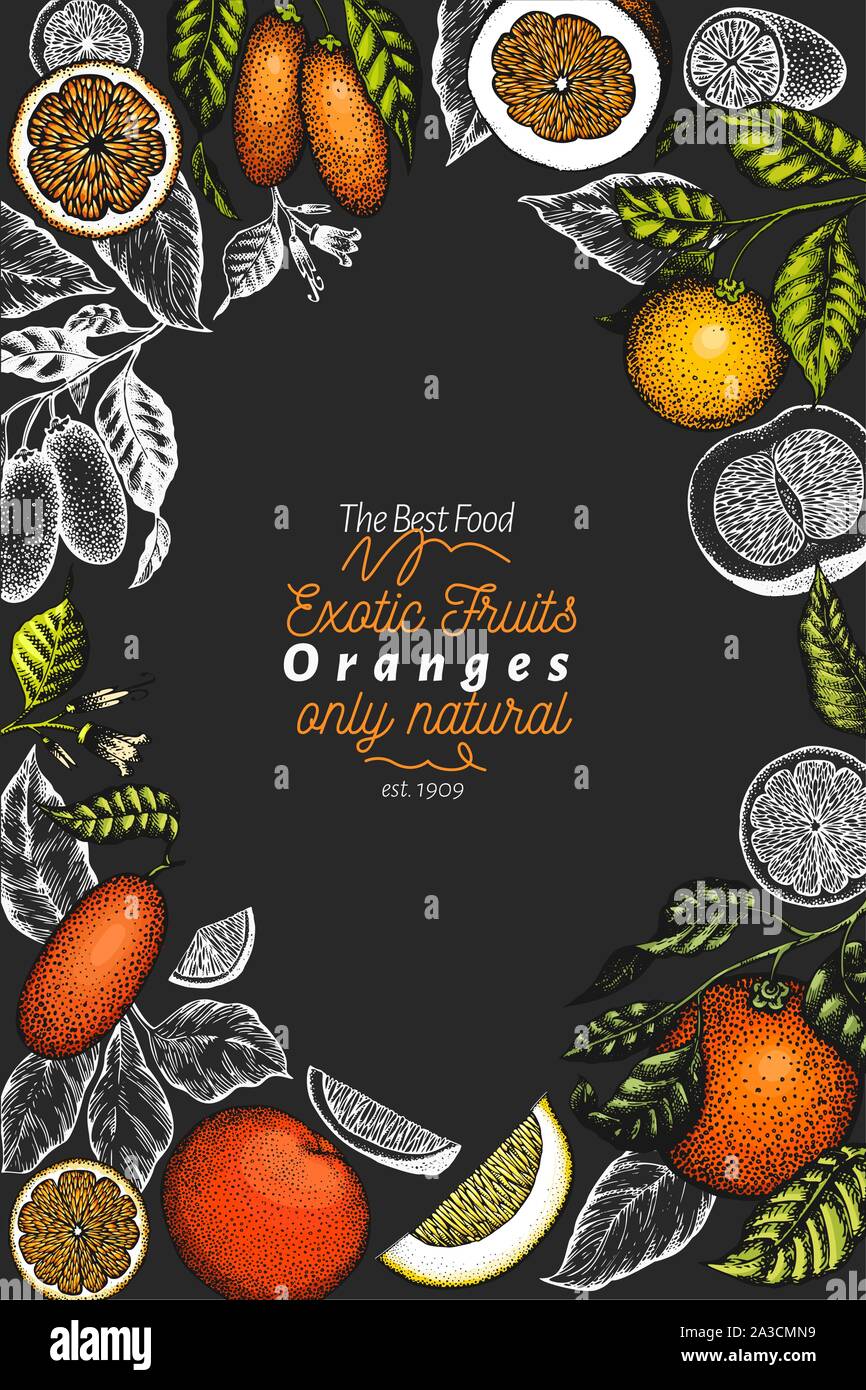 Citrus design template. Hand drawn vector colour fruit illustration on ...