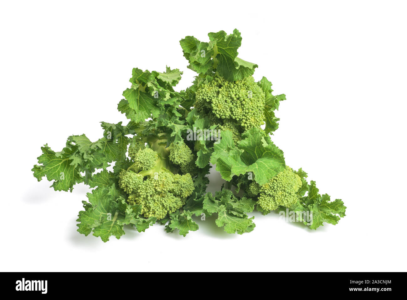Broccoli rabe hi-res stock photography and images - Alamy