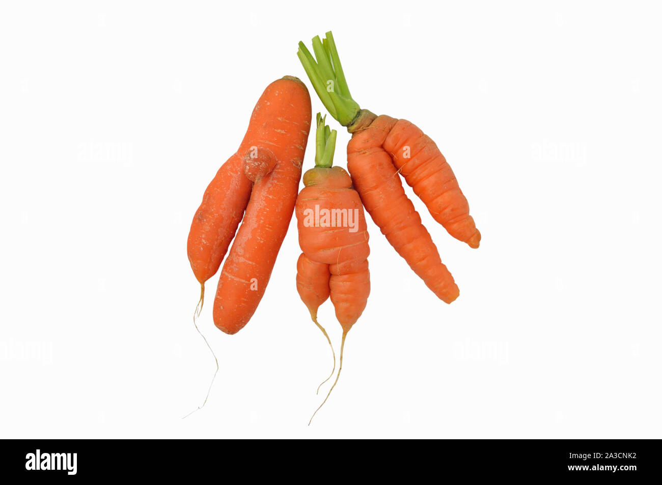Odd carrot Cut Out Stock Images & Pictures - Alamy
