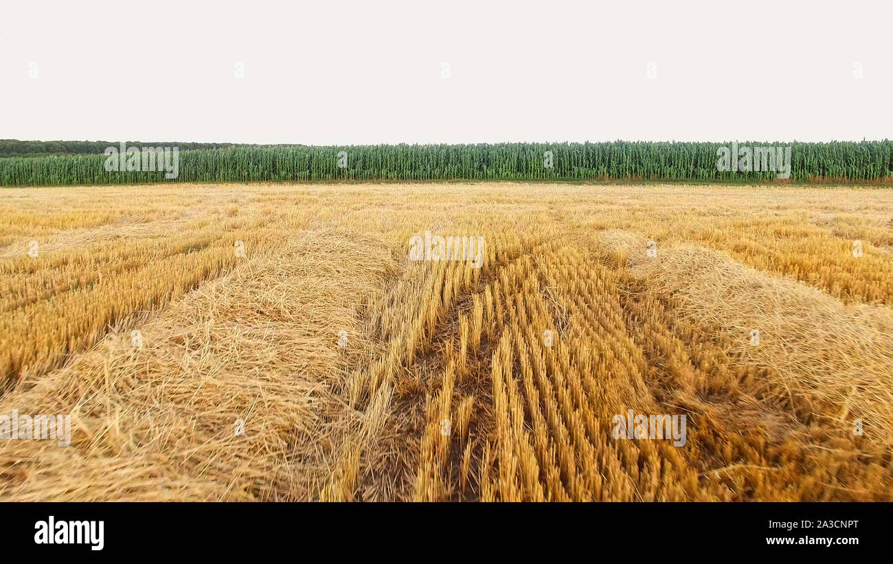 Mown hay field hi-res stock photography and images - Alamy