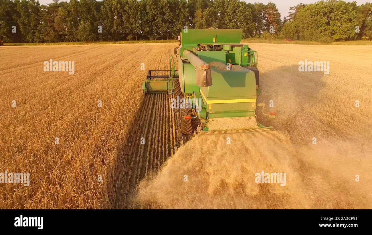 Combine, field and trees. Combine and yellow field Stock Photo - Alamy