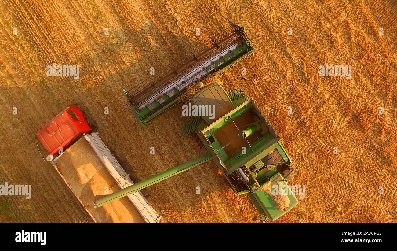 Combine and truck with grain. Agricultural machines, top view Stock ...
