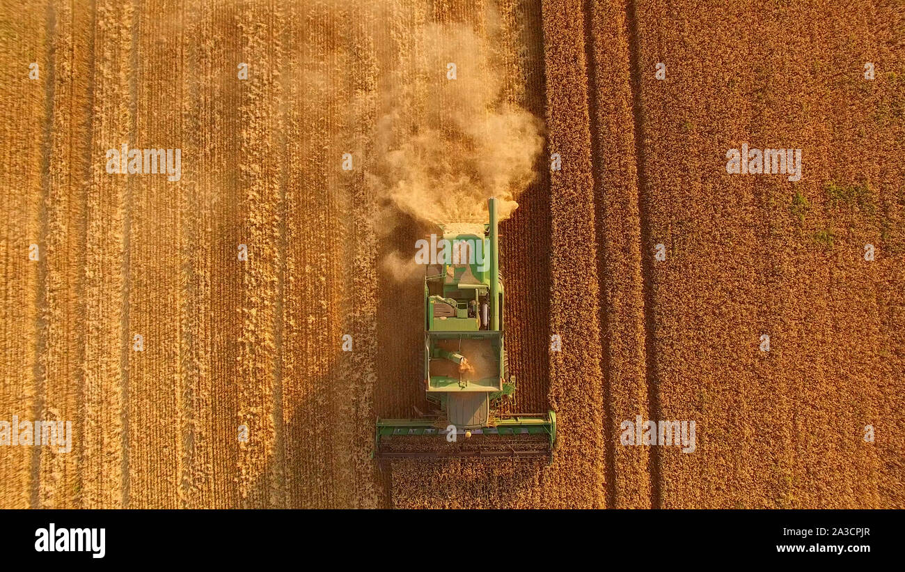 Gathering crops hi-res stock photography and images - Alamy